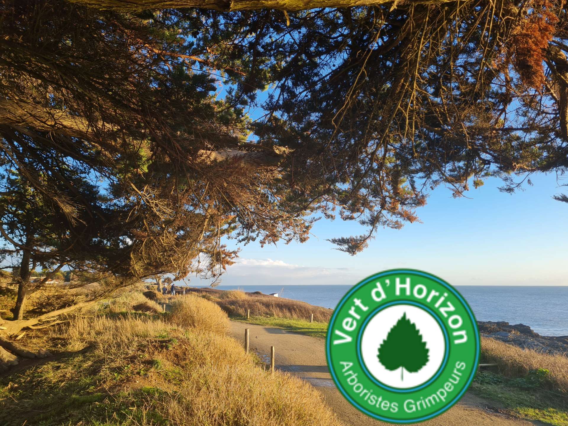 Nouvelle année - Vert d'Horizon