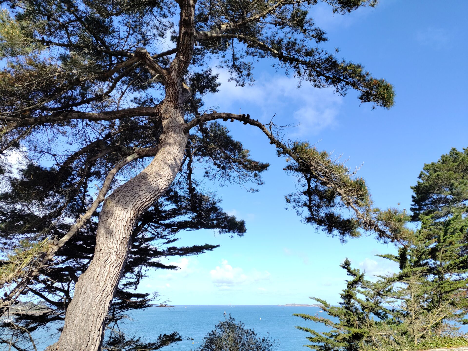 Le collet - Vert d'Horizon